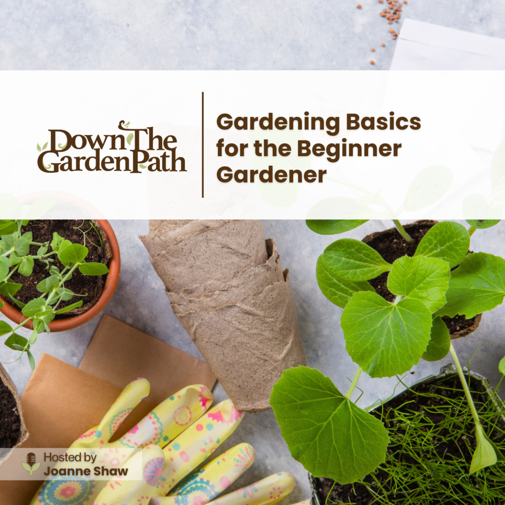 Gardening Basics for the Beginner Gardener - Down 2 Earth Down 2 Earth