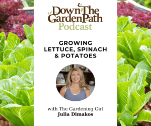 Growing Lettuce, Spinach and Potatoes with Gardening Girl Julia Dimakos ...