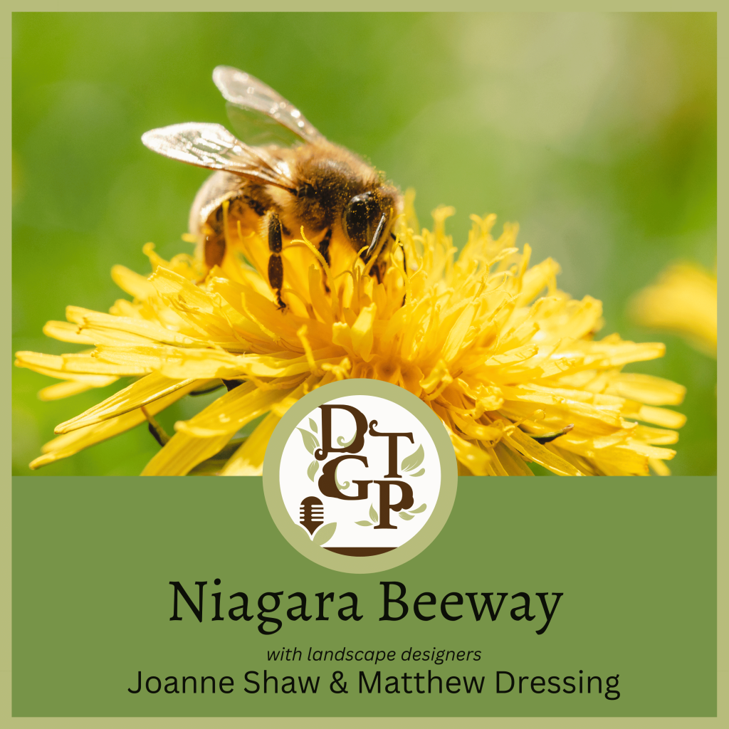 Niagara Beeway - Down 2 Earth Down 2 Earth