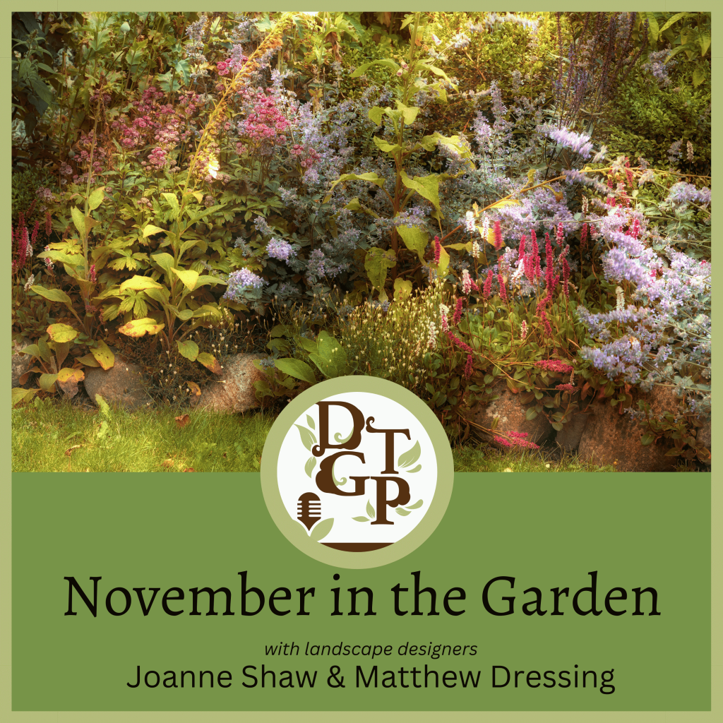 November in the Garden - Down 2 Earth Down 2 Earth