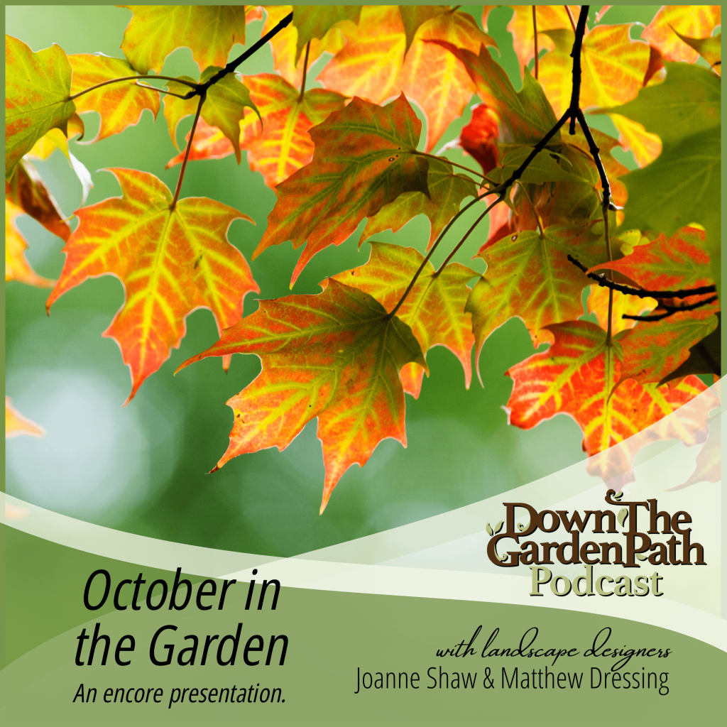 October in the Garden - Down 2 Earth Down 2 Earth