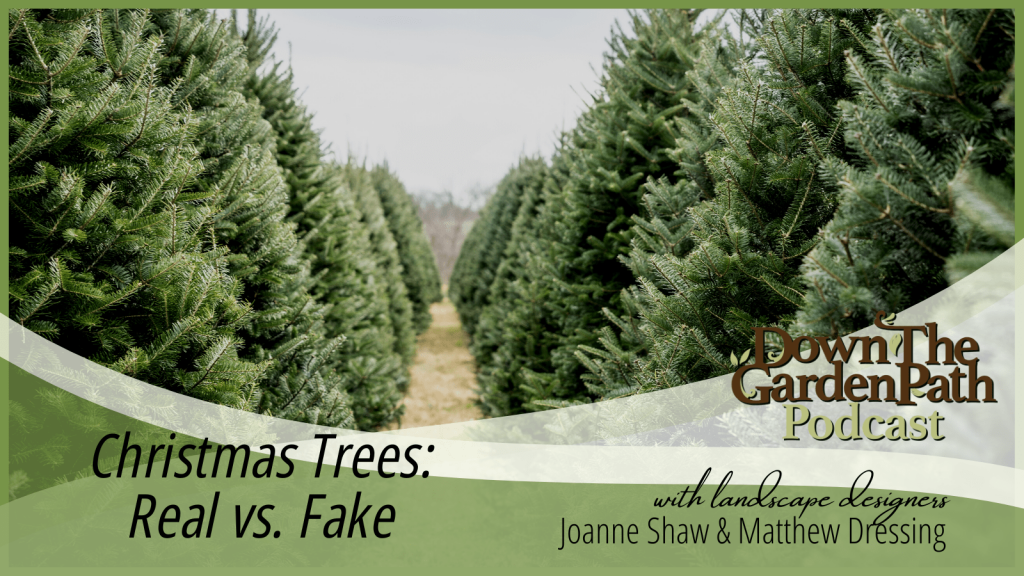 Christmas Trees: Real vs. Fake - Down 2 Earth Down 2 Earth